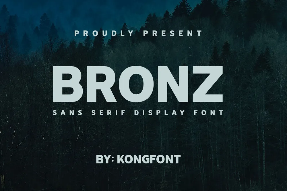 Bronz Font - Kiwi Fonts
